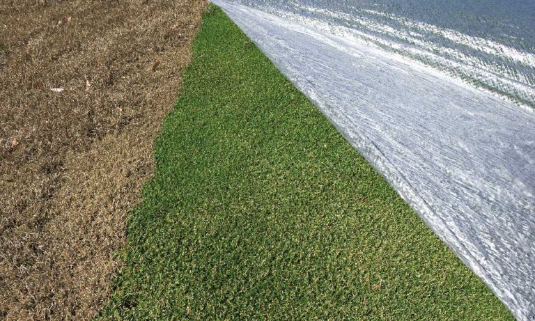 The Magic of Evergreen Turf Covers | Golf Course Trades - Online Turf ...