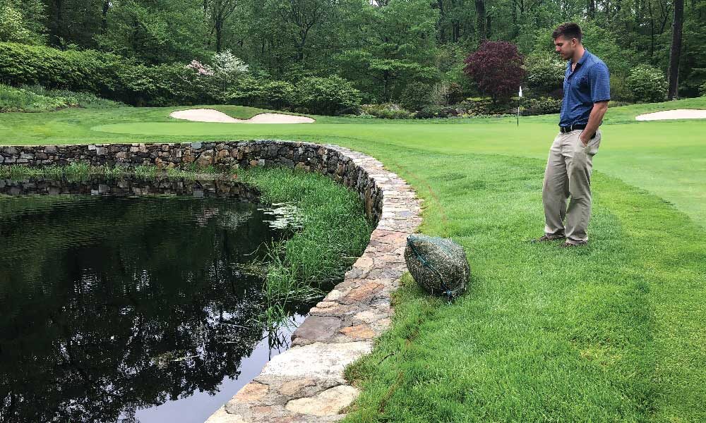 Black Water and Environmental Green Results by Linda Parker