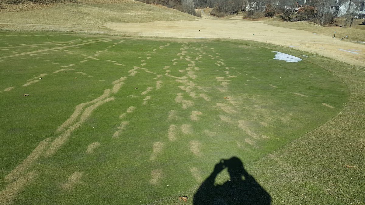 Effects of Walking on Bentgrass Greens during Frost Delays https ...